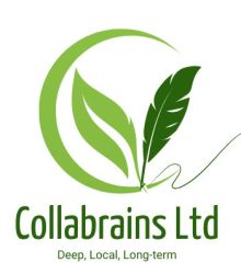 Strategic Focus (2024-2027) - COLLABRAINS